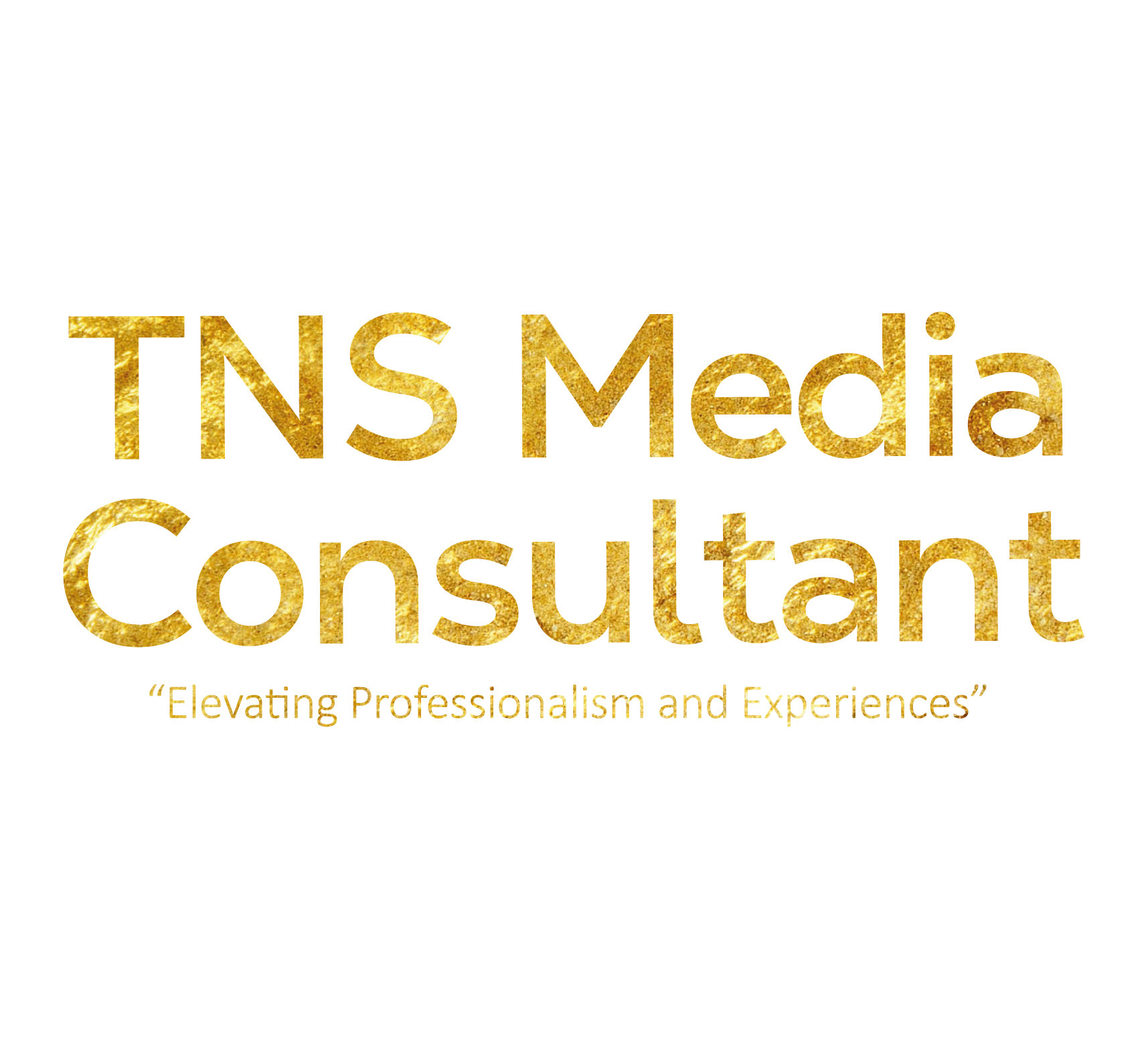 Logo-03 – TNS News